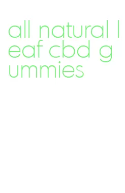 Unlock the Power of All-Natural Leaf CBD Gummies for Optimal Wellness ...